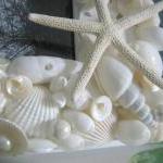 Seashell Frames For Beach Decor - Nautical Beach Wedding White Shell ...