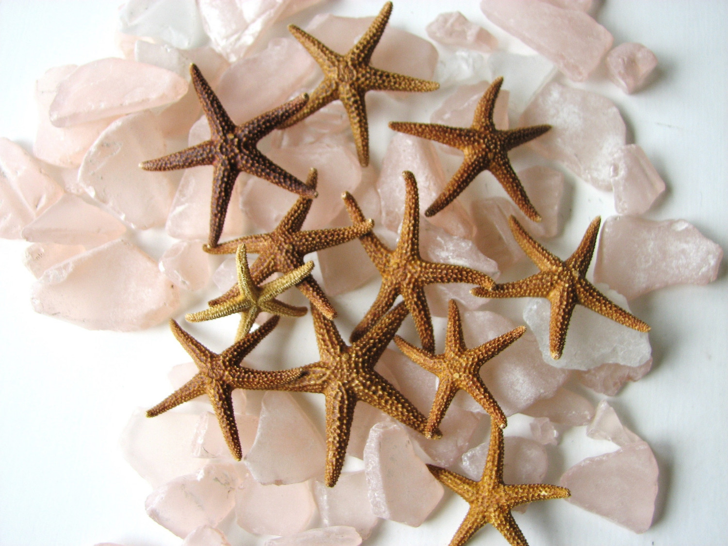 Beach Decor Brown Starfish - Nautical Decor Or Beach Wedding Starfish ...